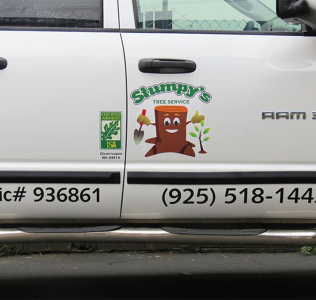 Vinyl Decals - design, production, installation - Sam’s Signs